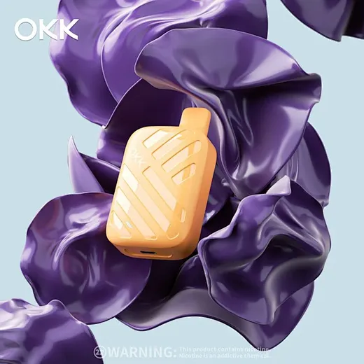 okk traveller 10000 puff disposable vape with two flavors